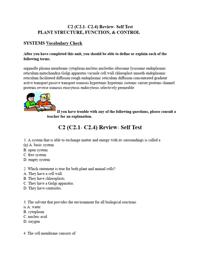 Plant Cell Structure & Transport Review | PDF | Cell Membrane | Osmosis