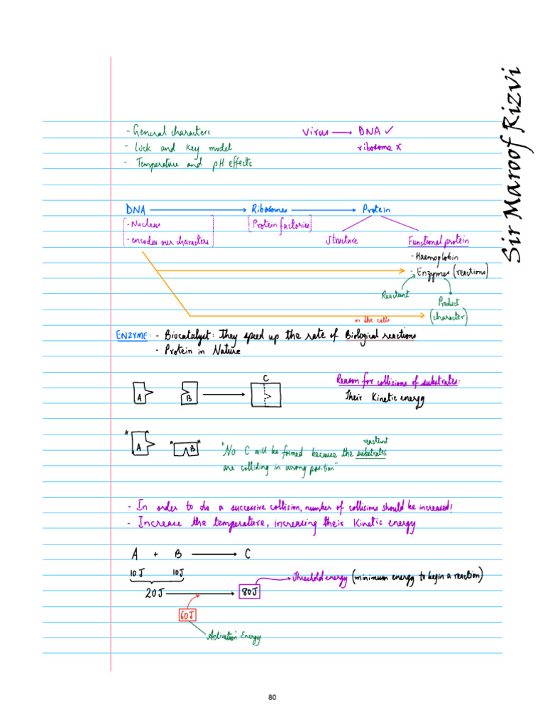 Lec Ch.5 Enzymes | PDF