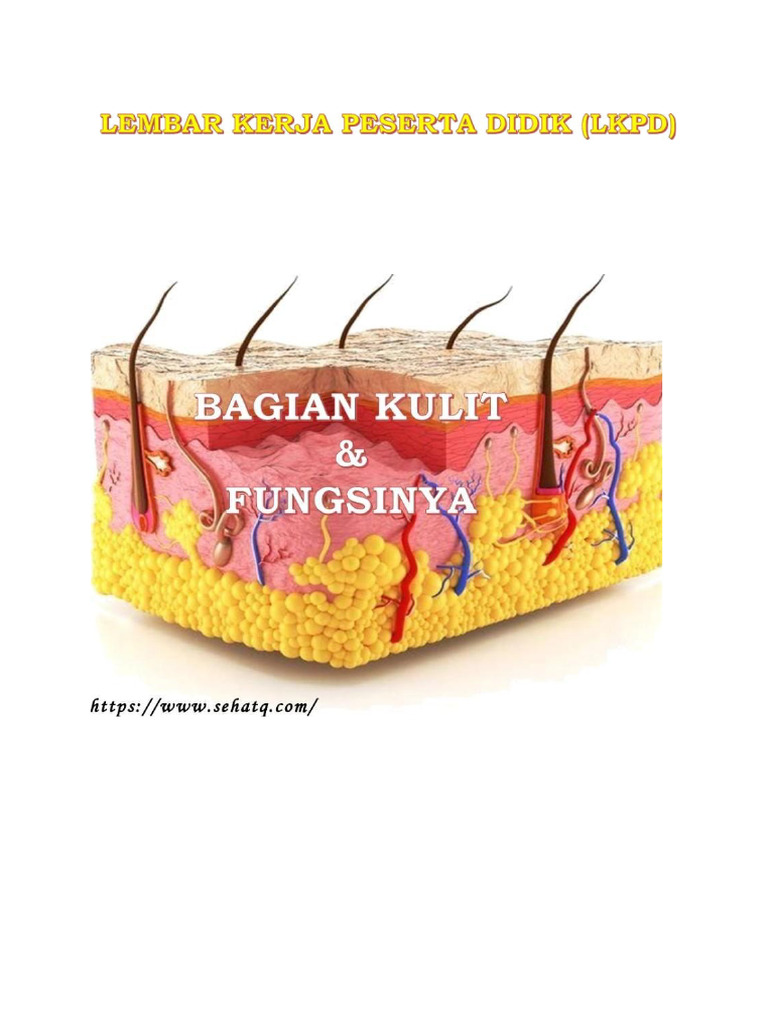 LKPD Kulit | PDF