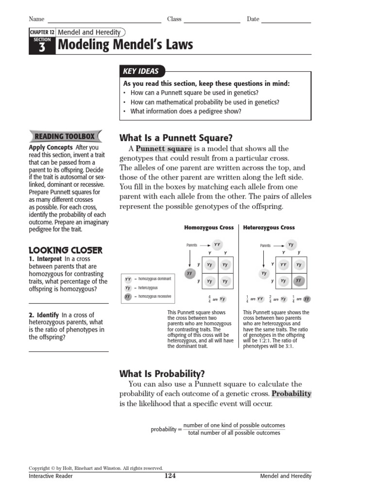 MS REVIEW 2 Modeling Mendel's Laws | PDF | Dominance (Genetics) | Zygosity