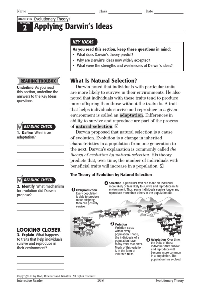 Evolution-2-Applying Darwin's Ideas | PDF | Evolution | Natural Selection