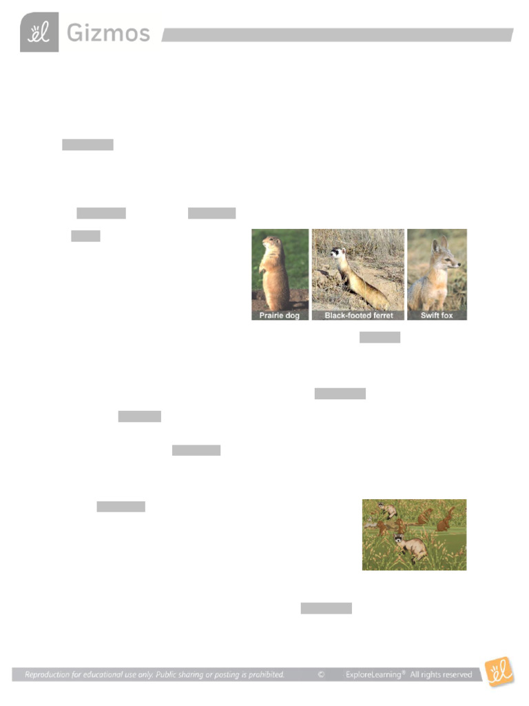 Prairie Ecosystem Exploration Guide | PDF | Prairie | Foods