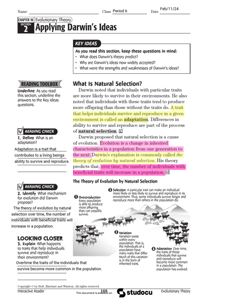 Kami Export Kami Export Applying Darwins Ideas | PDF | Evolution ...