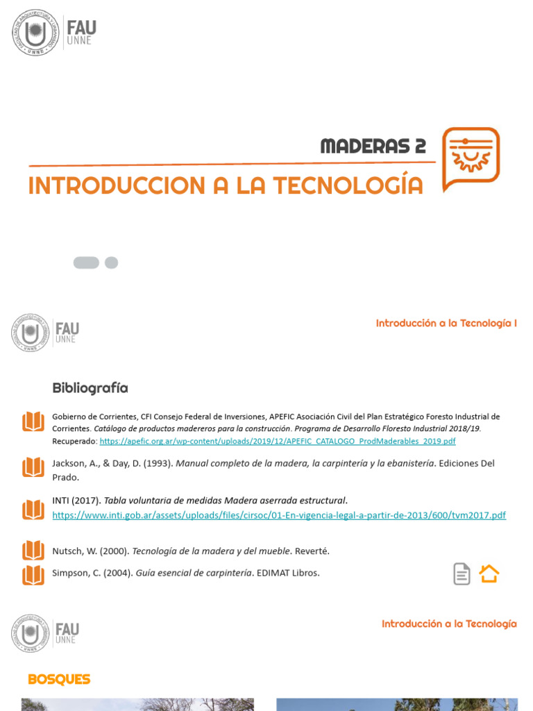 IT - Tema #5 Maderas 2 - 2024 | PDF | Madera
