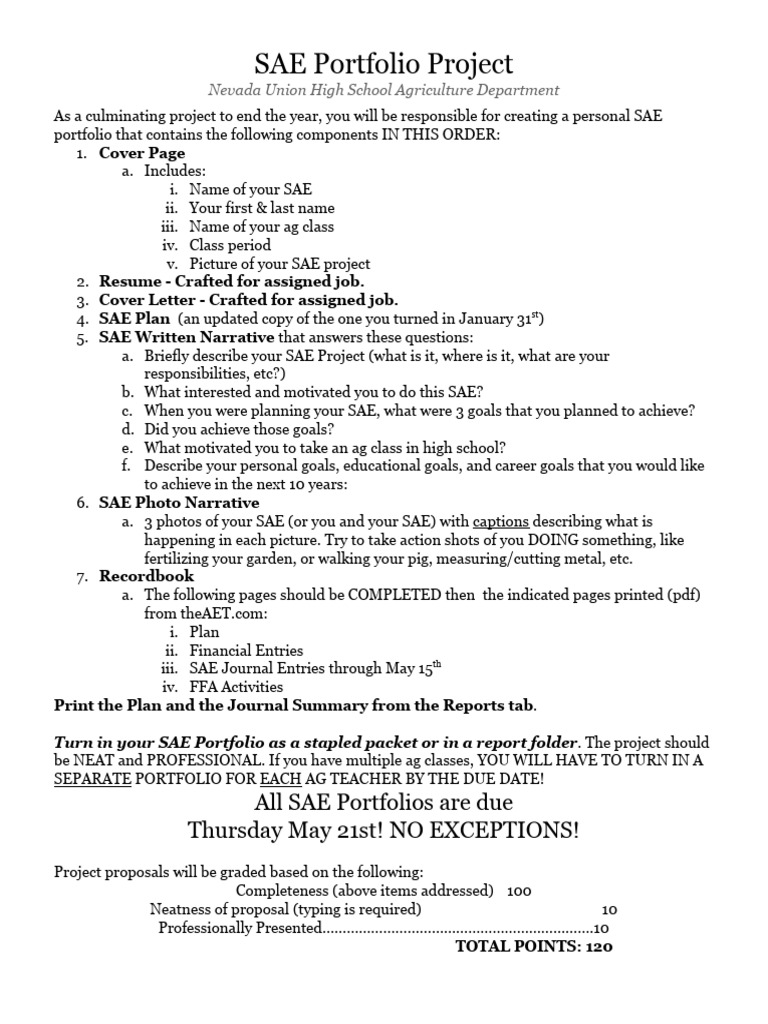 2020 SAE Portfolio Project Outline | PDF
