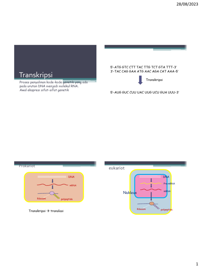 Transkripsi Dan Translasi | PDF