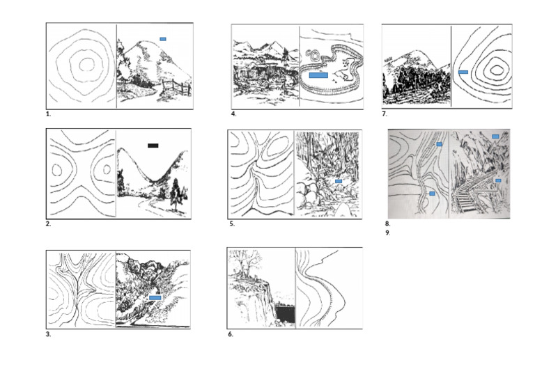 Orienteering Worksheet | PDF