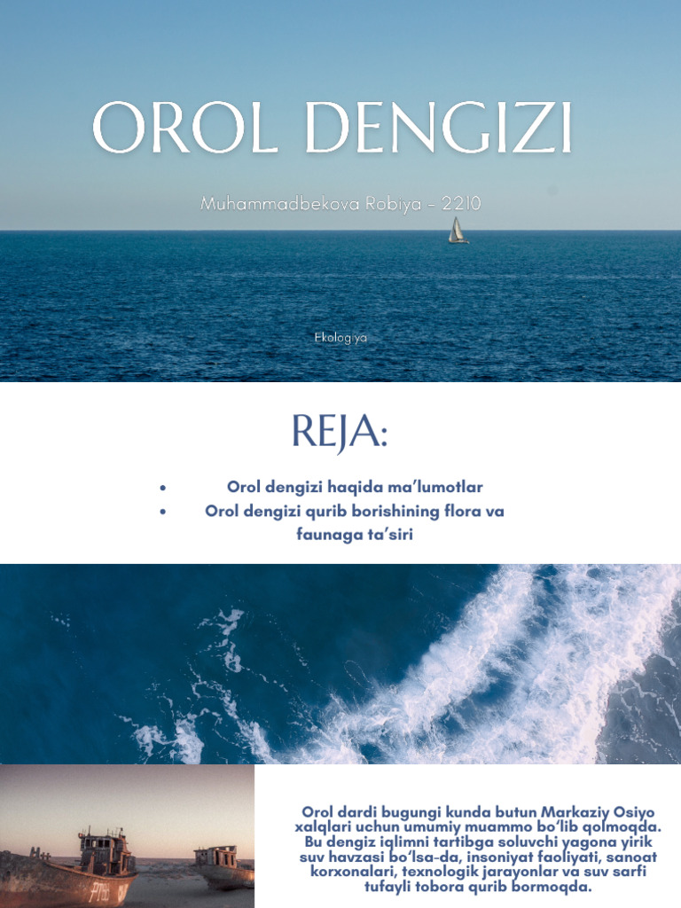 Blue and White Photo Clean Save The Sea Presentation | PDF