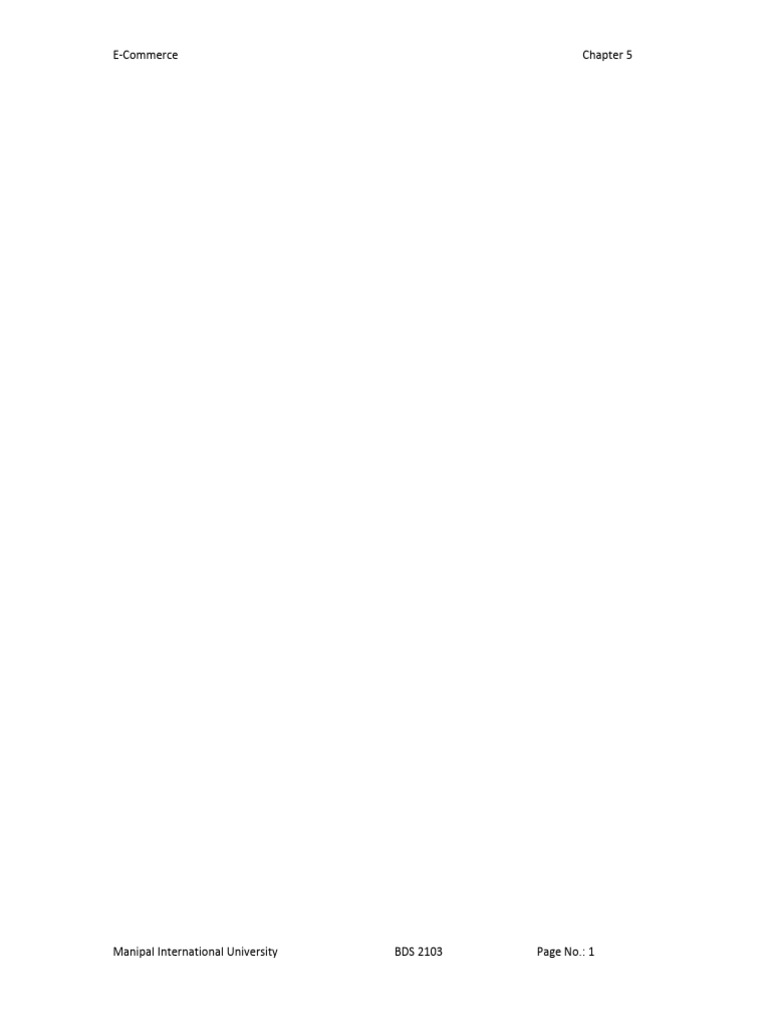 Chapter 5 E-Commerce Business Strategies | PDF | E Commerce | Shaving