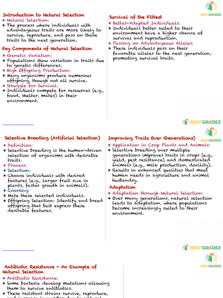 Natural and Artificial Selection Explained | PDF | Natural Selection ...