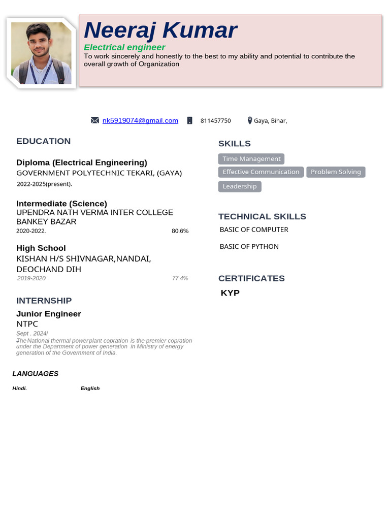 Neeraj Kumar's Academic and Internship Profile | PDF
