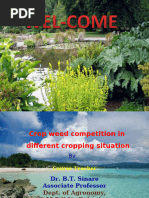 What Is Ratooning | PDF | Agriculture | Horticulture