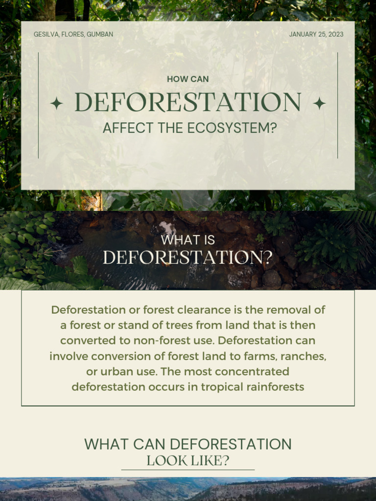 Science Project | PDF