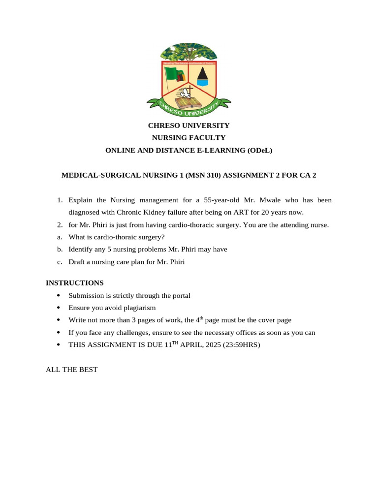 MSN 310 CA2 ODeL Assignment | PDF