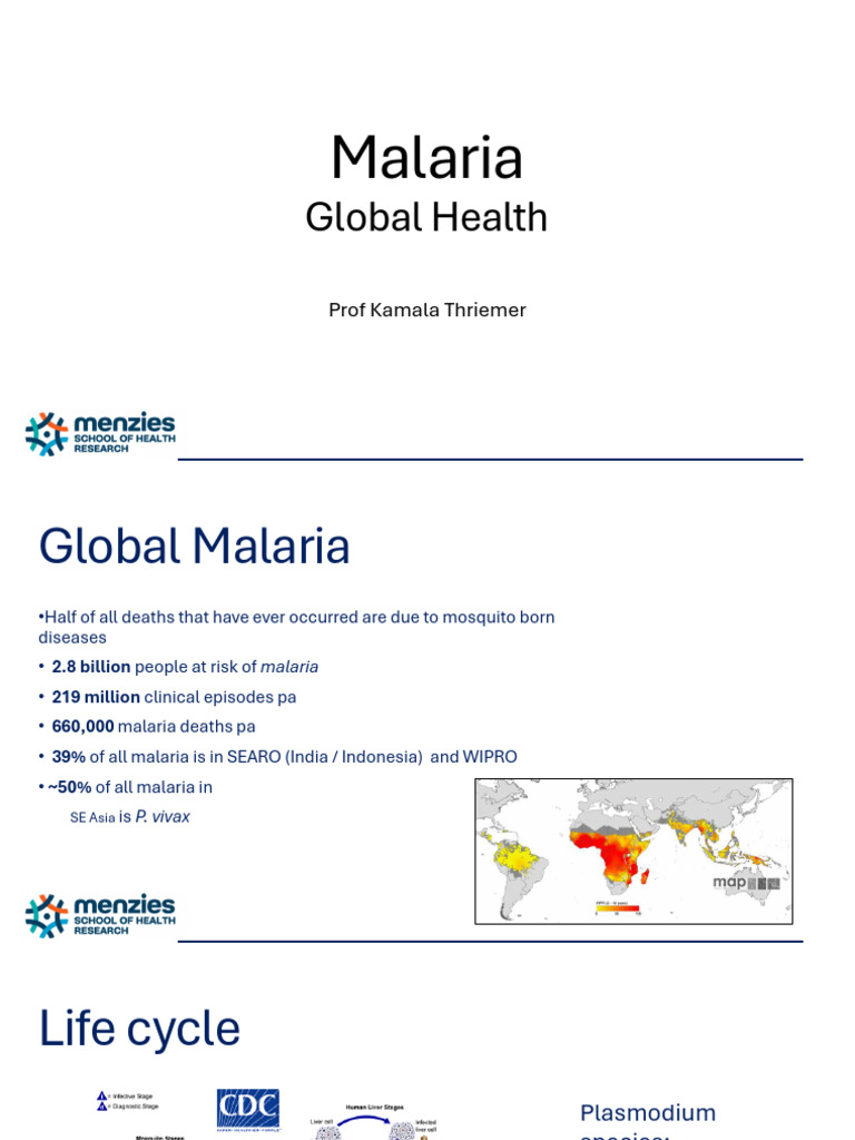 Malaria Lecture 2025 | PDF | Malaria | Mosquito Net