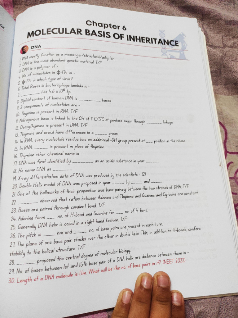 Molecular Basis of Inheritance | PDF | Genetic Code | Operon