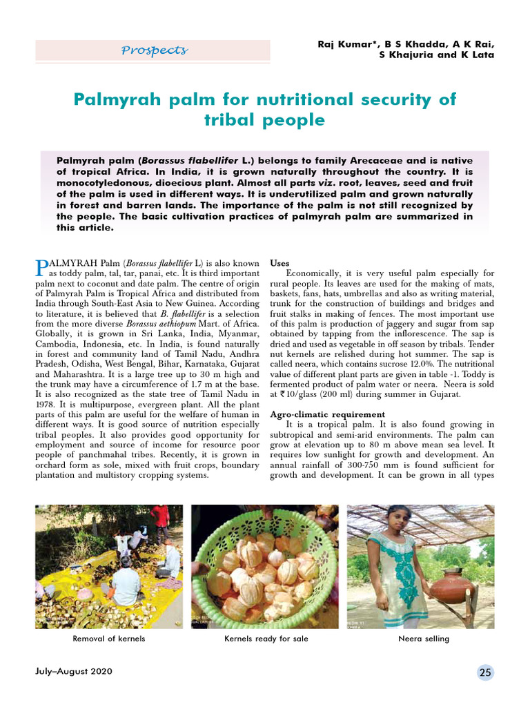 Ojsadmin, 10 Palmyrah Palm For Nutritional | PDF | Sowing | Horticulture
