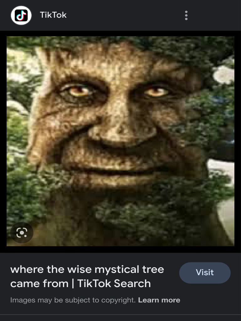 Wise Mystical Tree - Google Search | PDF