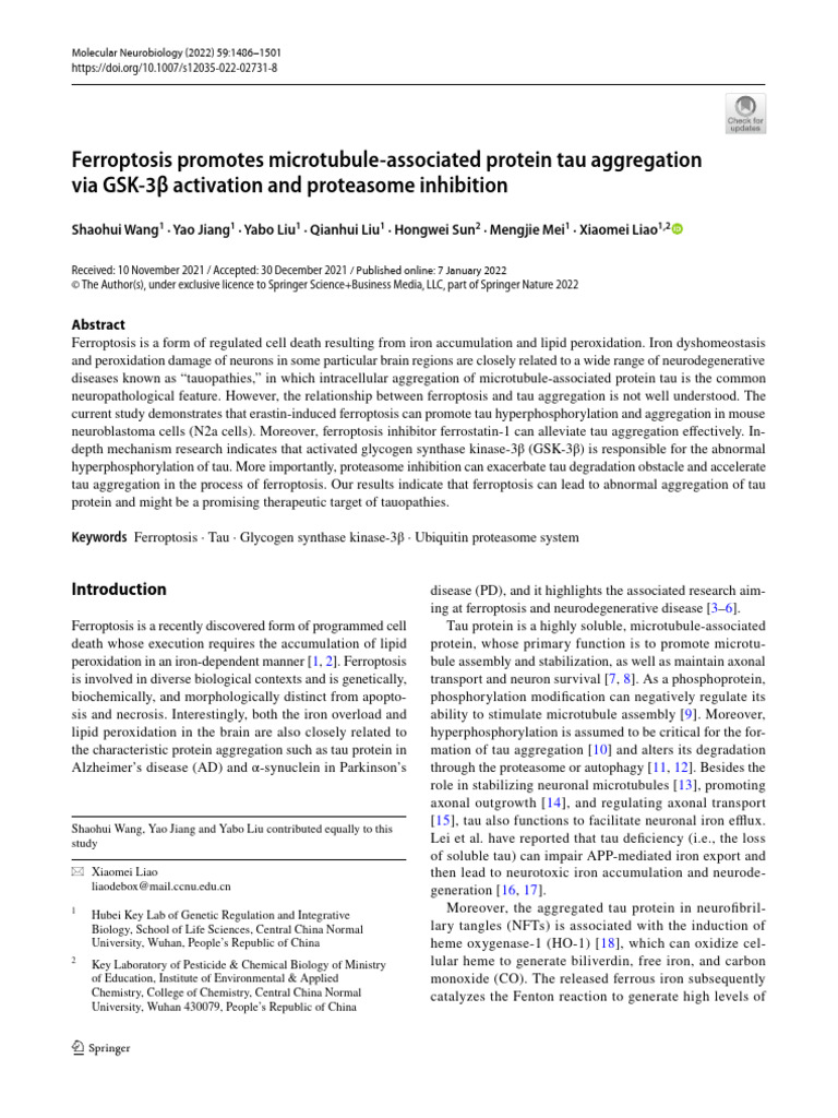 4 Ferroptosis promotes microtubule-associated protein tau aggregation ...