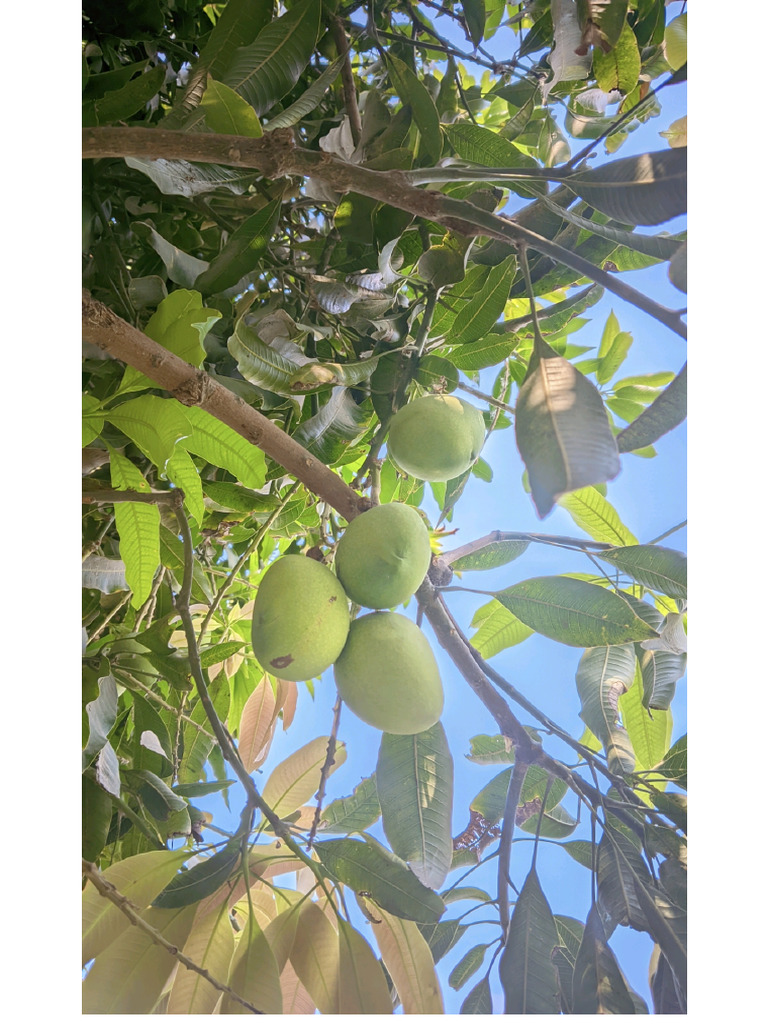 PDFGallery 20250423 140248 | PDF