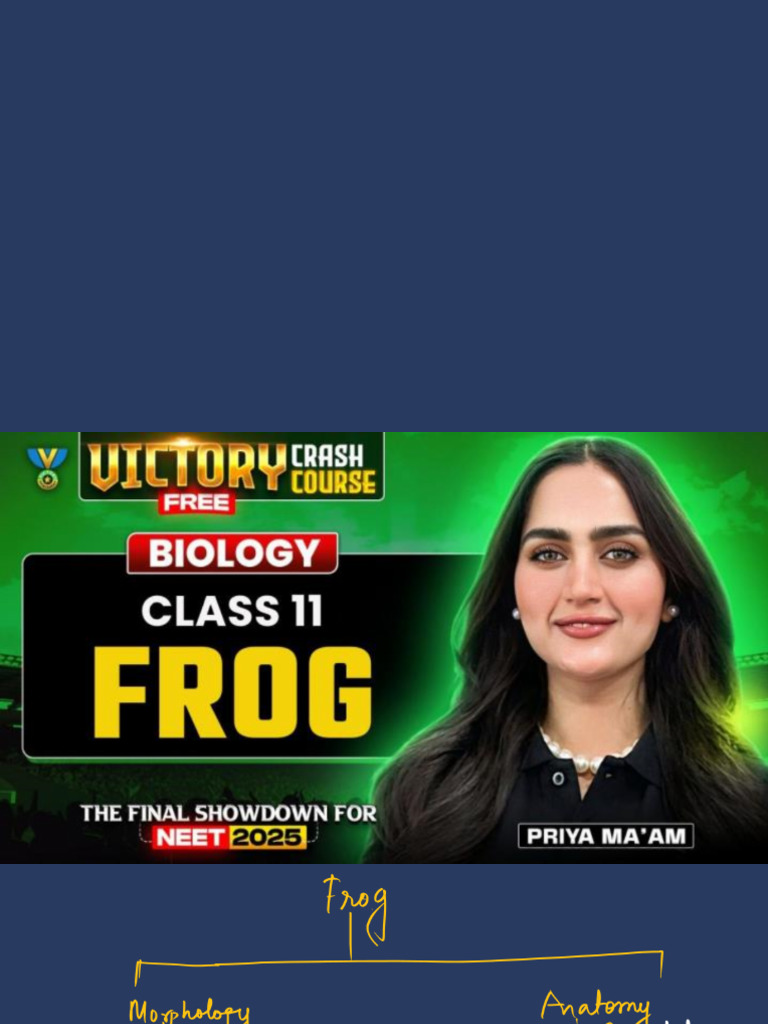 Frog | PDF