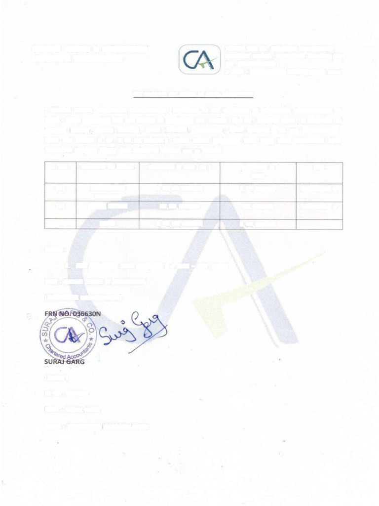 Suraj Garg's Net Worth Assessment | PDF | Economies