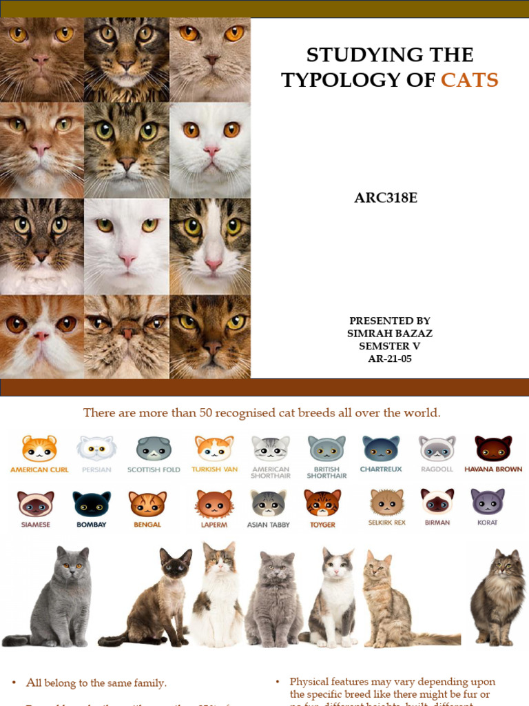 Typology Study | PDF