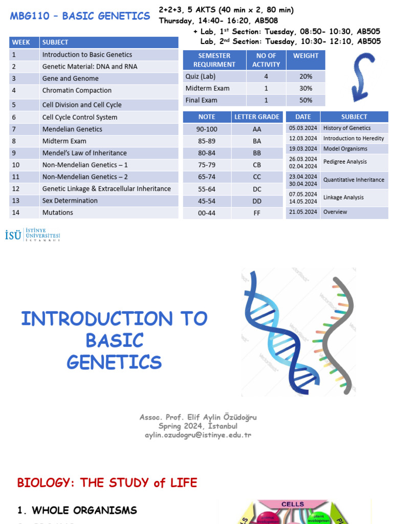 Introduction To Basic Genetics | PDF | Cell (Biology) | Gene