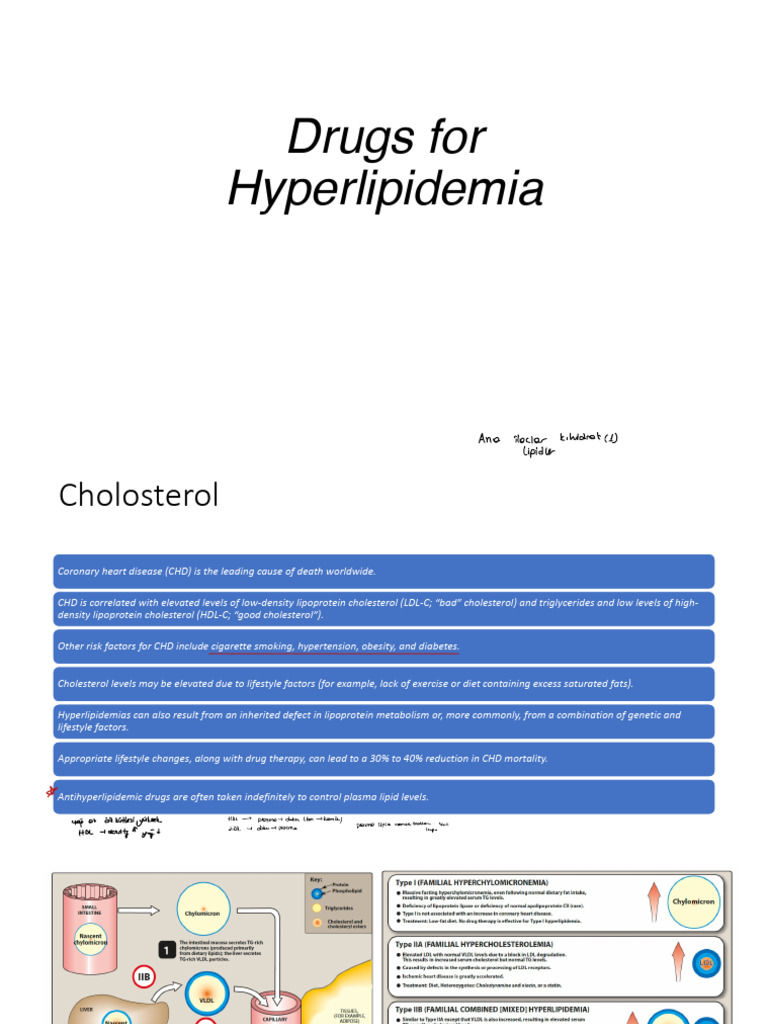 6 Mayıs - Drugs For Hyperlipidemia | PDF | Lipoprotein | Statin