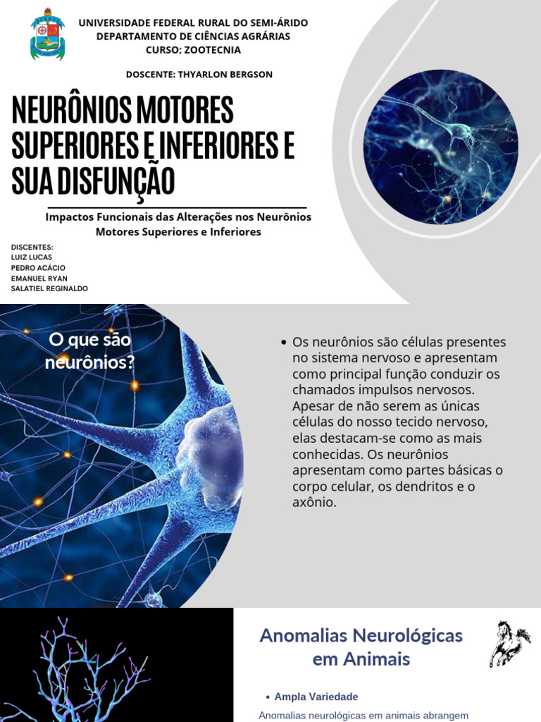 Anomalias Neurologicas em Animais Um Foco Nos Neuronios Motores | PDF ...