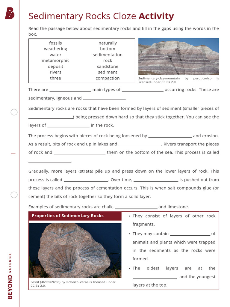 Sedimentary Rocks Cloze Activity | PDF | Rock (Geology) | Sedimentary Rock
