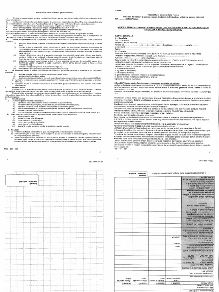 Formular FES - 054 - 204 reconstituireIUGN | PDF