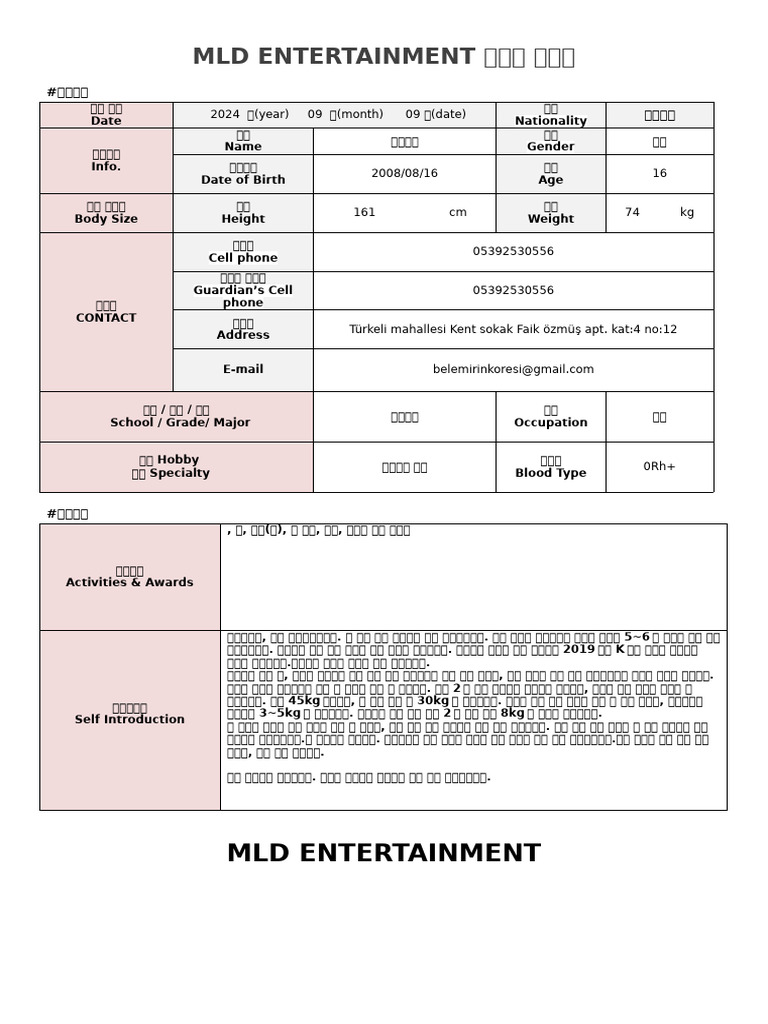 MLD 오디션 지원서 | PDF