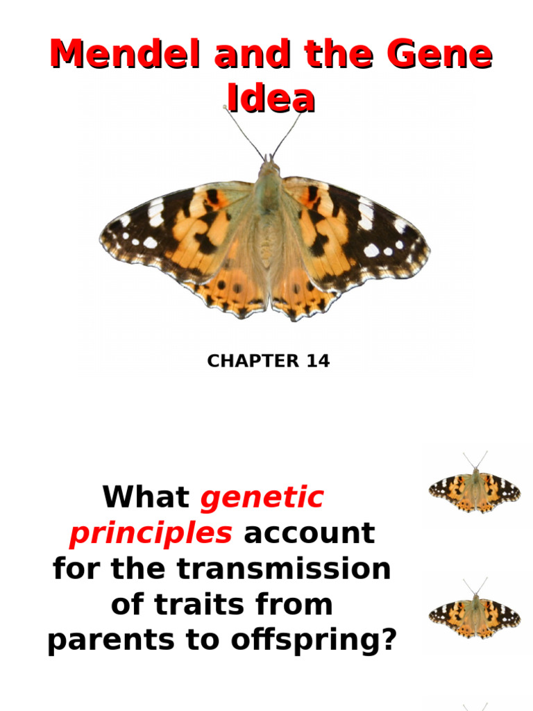 Mendelian Genetics and Inheritance Principles | PDF | Dominance ...
