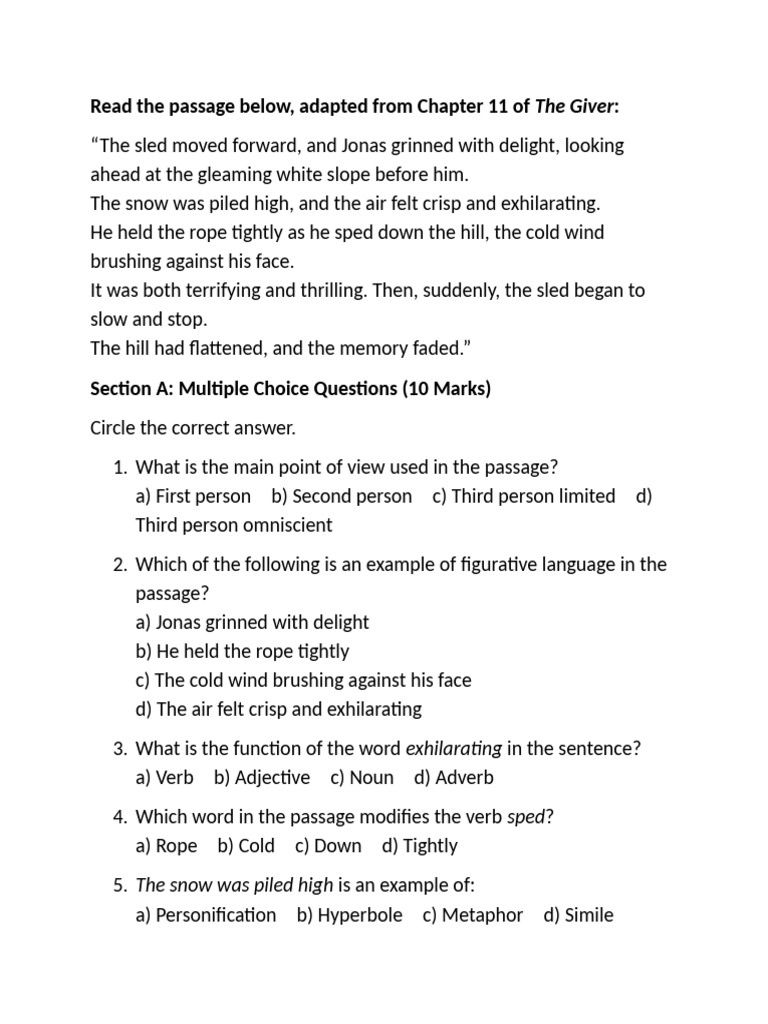 Analyzing "The Giver": Point of View & Language | PDF | Adverb | Verb