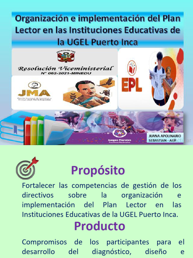 Plan Lector - Ugel 2025 | PDF