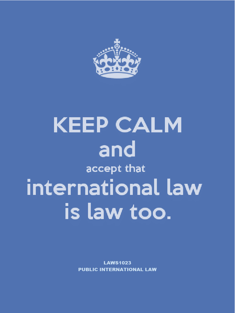 International Legal Persons and Sovereignty | PDF | International Law ...