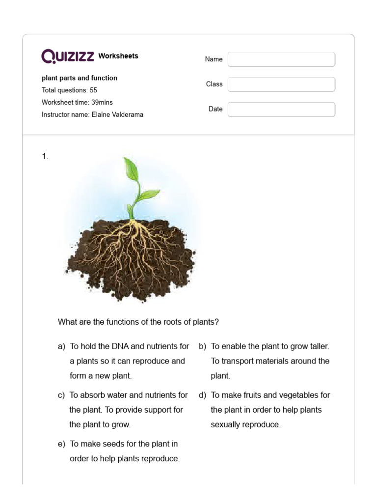Plant Parts and Function | PDF | Plants | Flowers