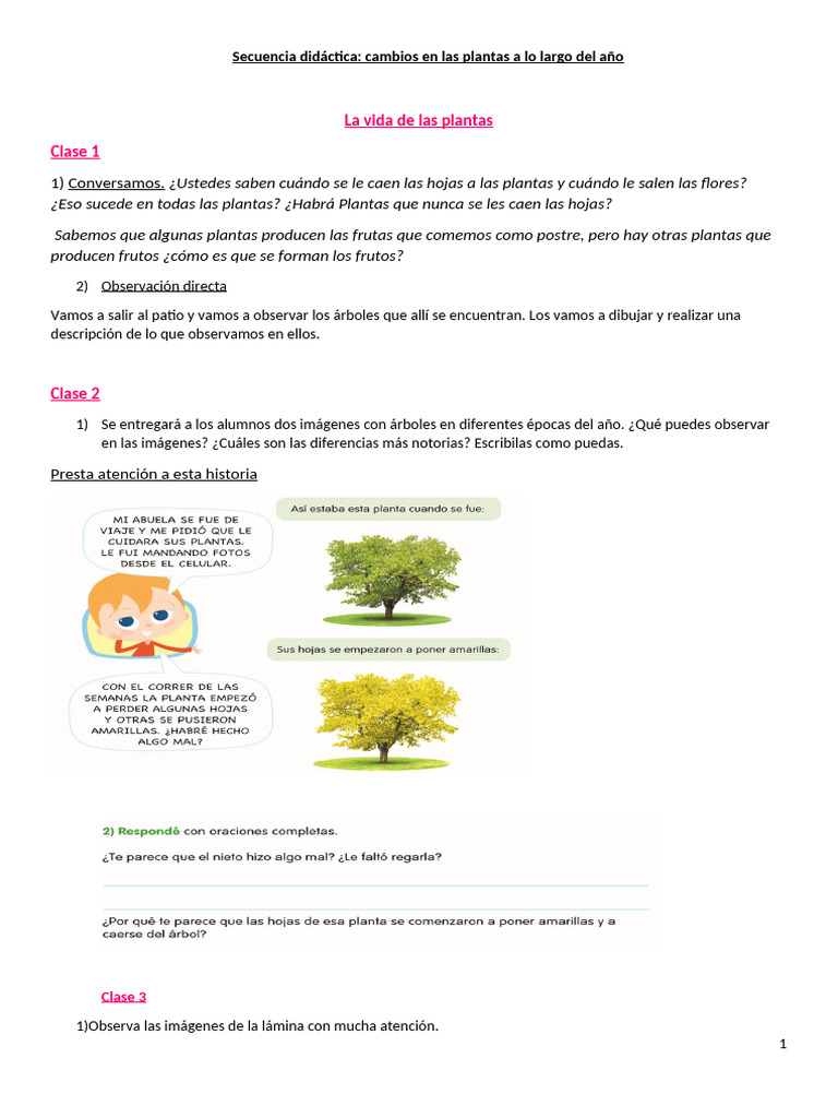 Cambios en las Plantas Durante el Año | PDF | Plantas | Flores