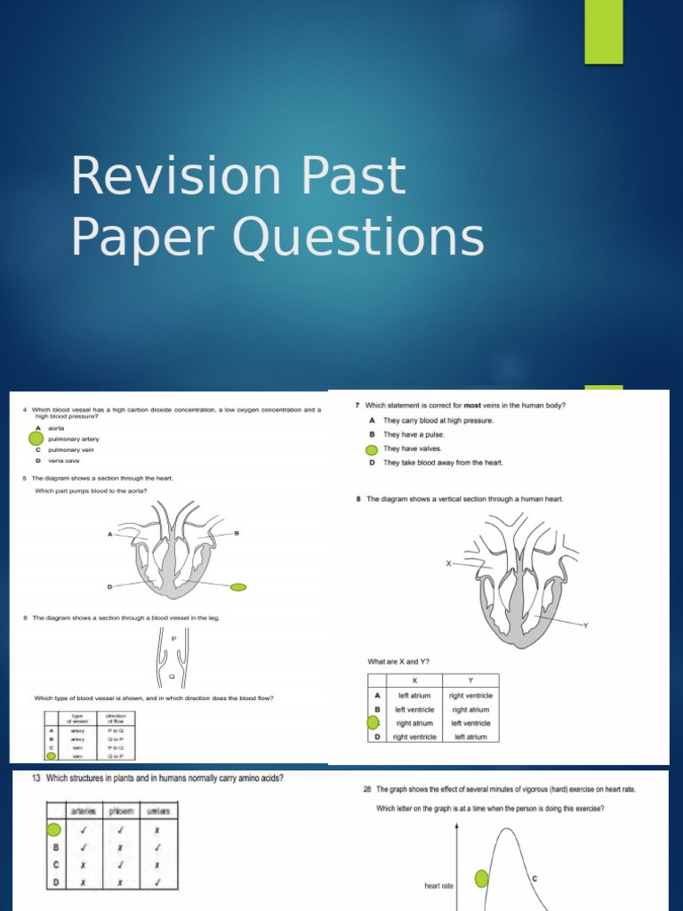 Revision Past Paper Questions | PDF