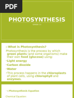 Photosynthesis Overview for Class 10 | PDF