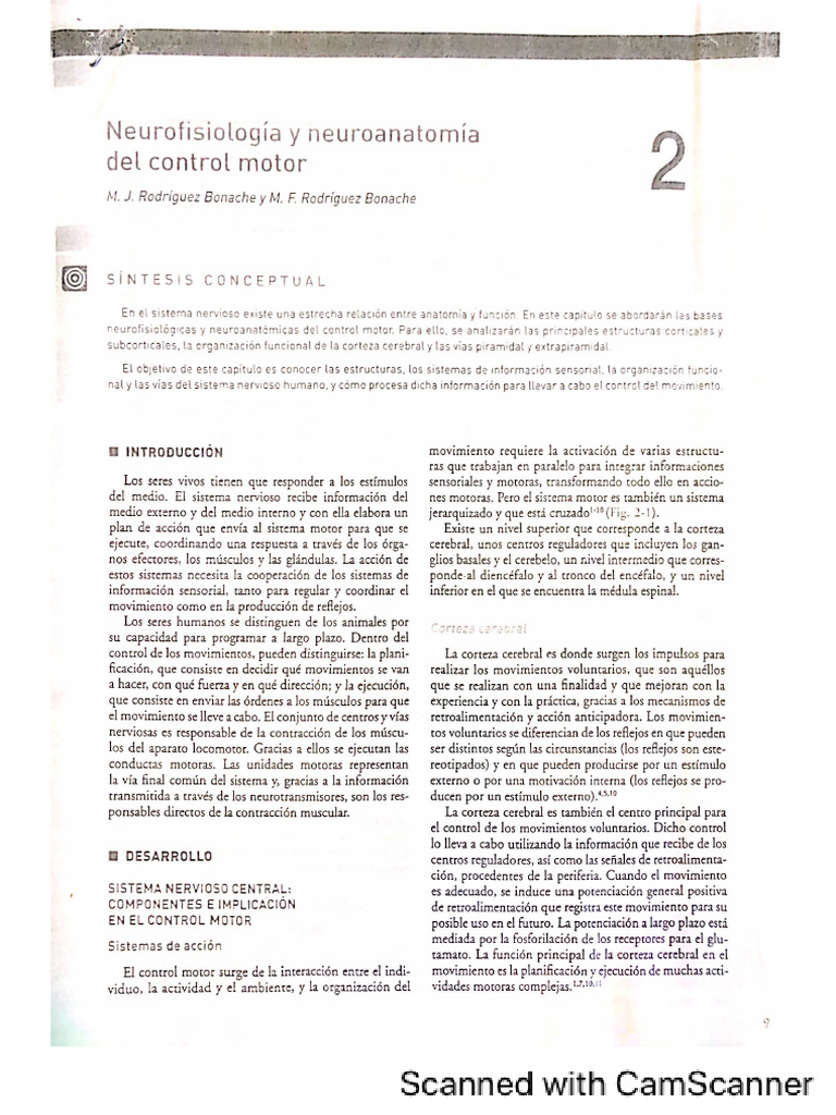 Unidad 1 - Neurofisiologia y Neuroanatomía Del Control Motor Libro Control Motor | PDF