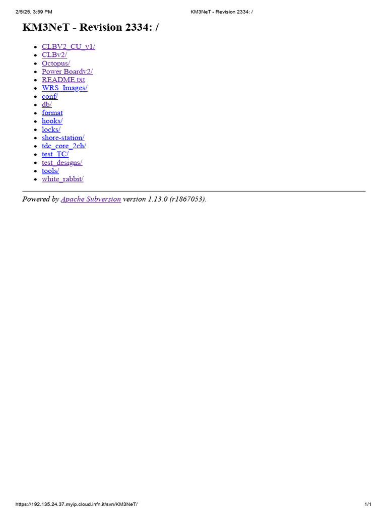 KM3NeT - Revision 2334 | PDF