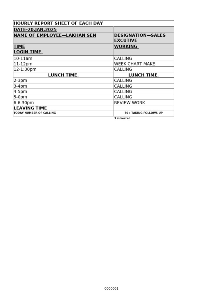 Hourly Report Sheet - ( Lakhan Sen ) (2) | PDF