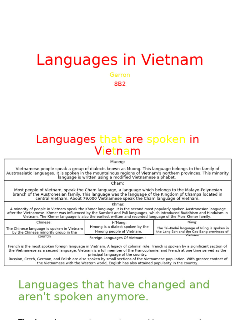 Languages in Vietnam | PDF | Vietnamese People | Vietnam
