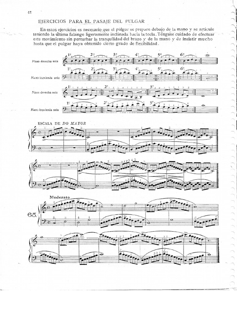 Beyer-Paso Pulgar y DoM | PDF