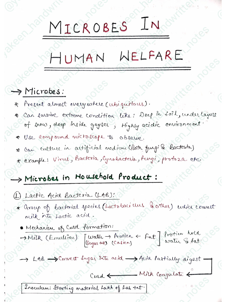 Microbes in Human Welfare | PDF