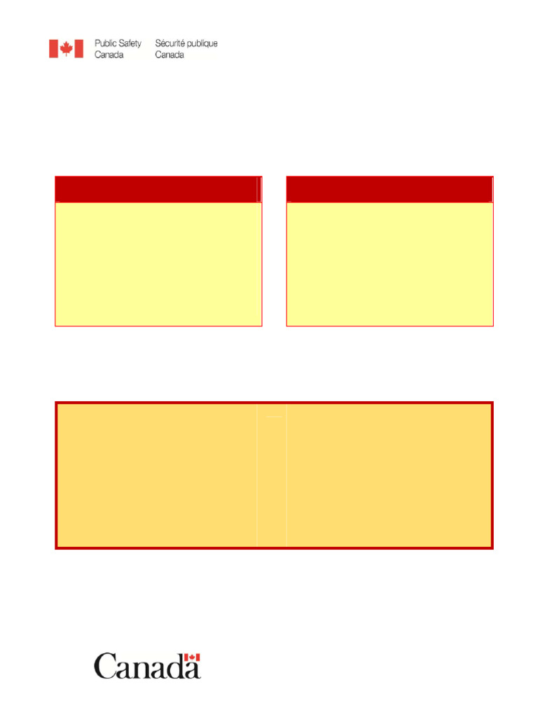 AIC - 2010 - Risks of ARs | PDF | Terrorism Financing | Money Laundering