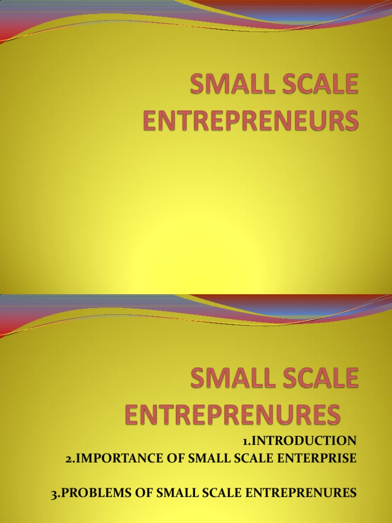 Small Scale Entrepreneur | PDF | Industries | Entrepreneurship