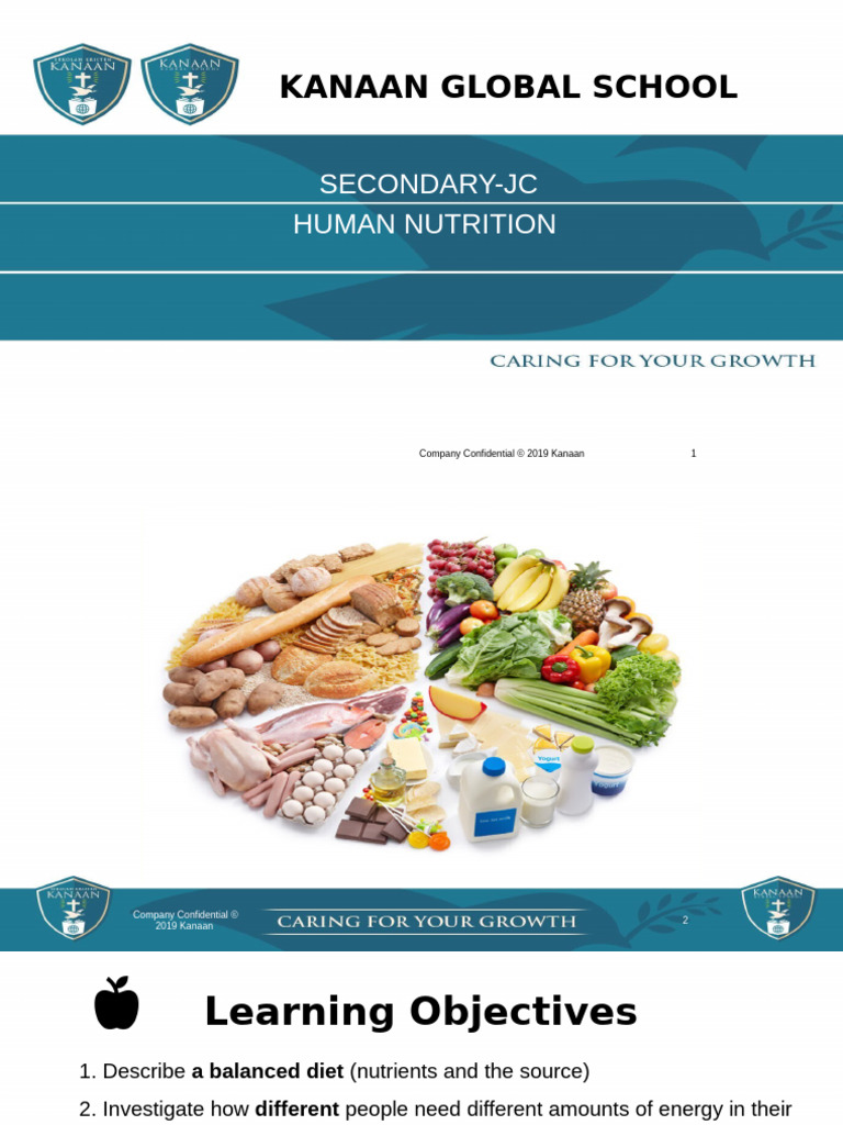 (14.82MB) Human Nutrition | PDF | Digestion | Gastrointestinal Tract